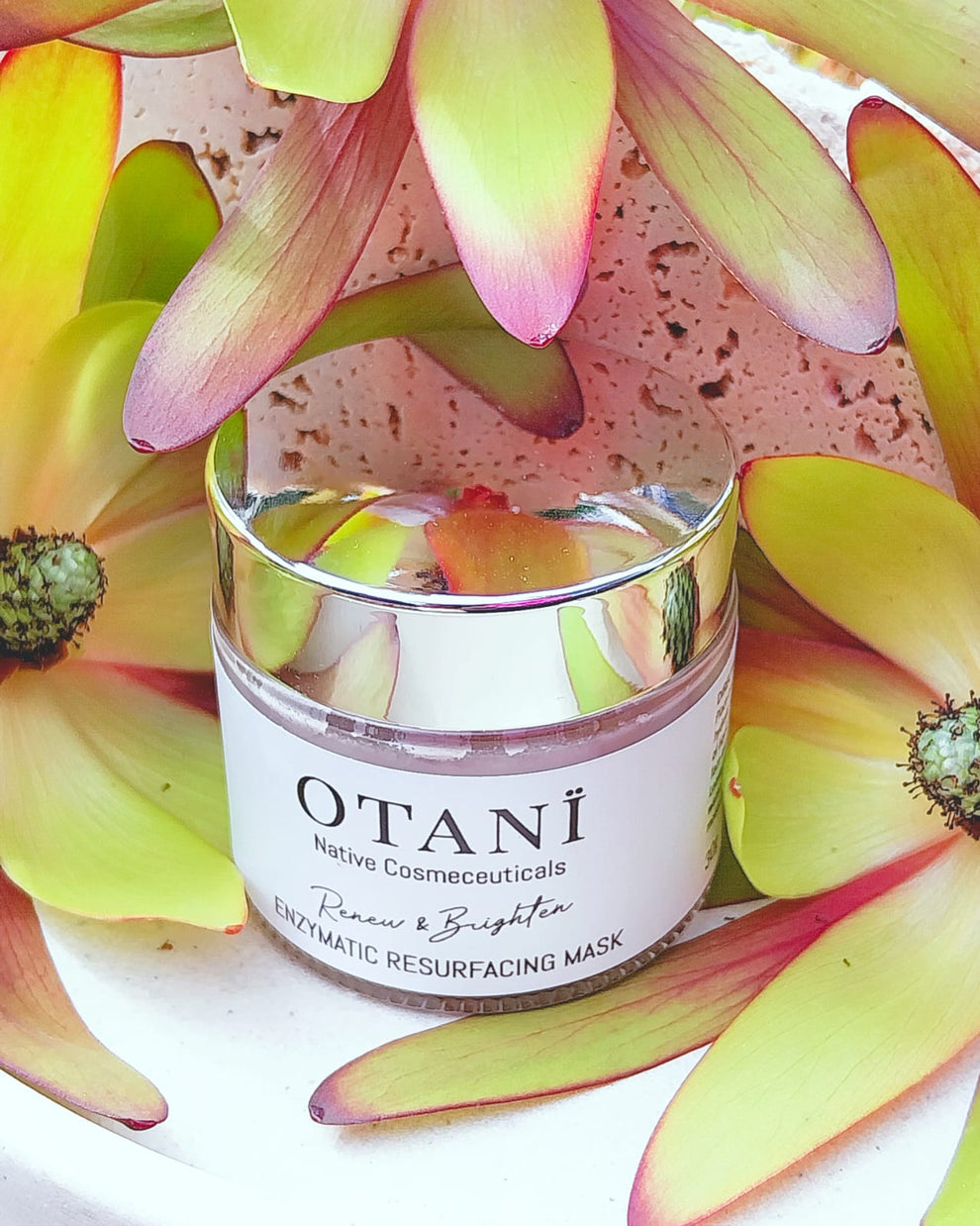 Enzymatic Resurfacing Mask – otaniskin